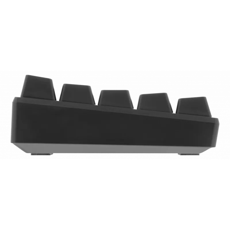 INF Mini mechanical keyboard 60% PANNordic RGB brown switch