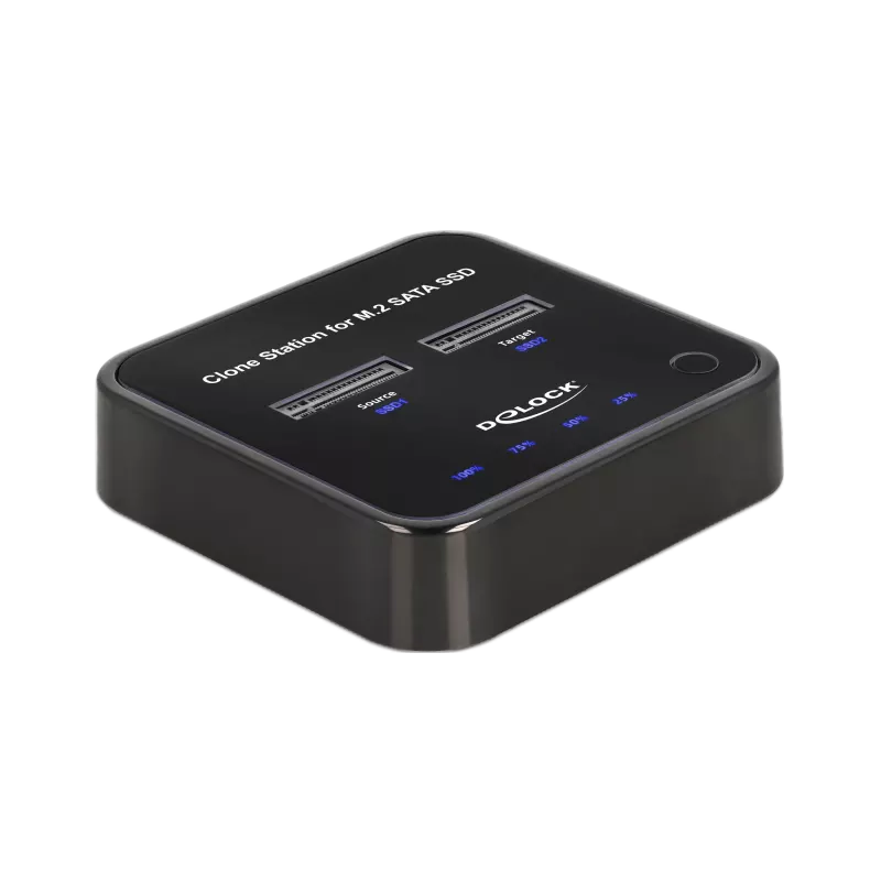 INF Delock M.2 Docking Station for 2 x M.2 SATA SSD with Clone